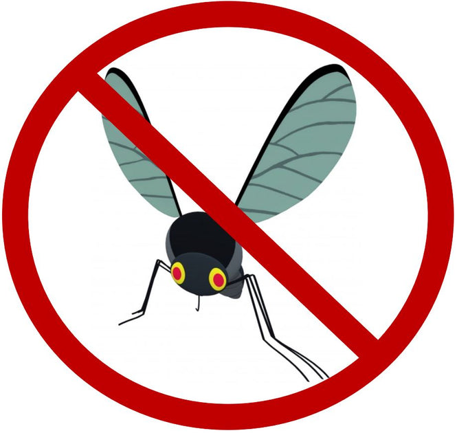 Tips for Identifying and Removing Bugs from Your Indoor Garden – IGWorks