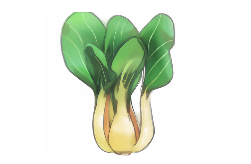 Growing Hydroponic Bok Choy – IGWorks