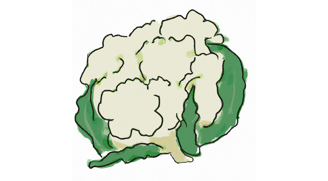 Growing Hydroponic Cauliflower – IGWorks