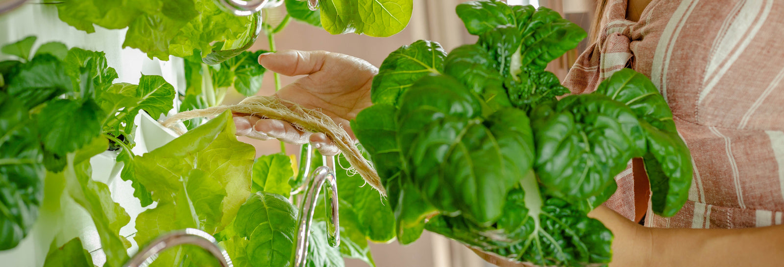 The iHarvest® Complete Package | Indoor garden system kit – IGWorks