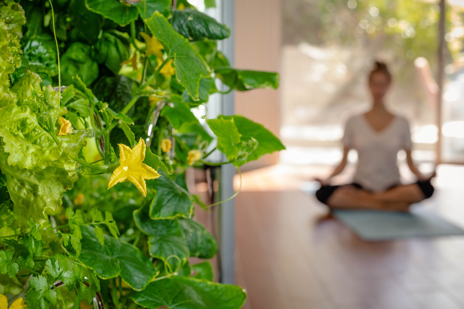 The iHarvest® Complete Package | Indoor garden system kit – IGWorks