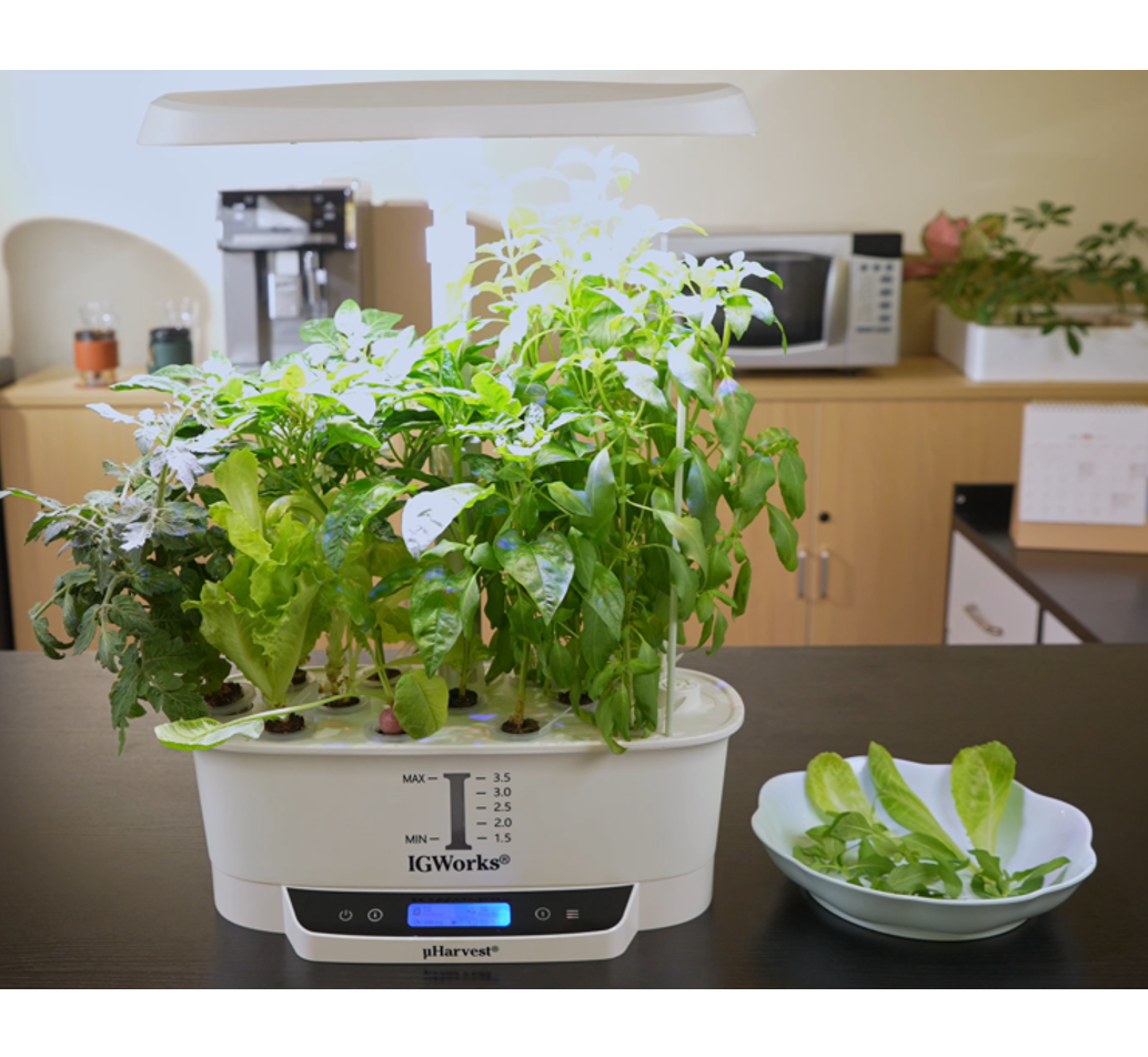 uharvest Indoor Tabletop Garden – IGWorks